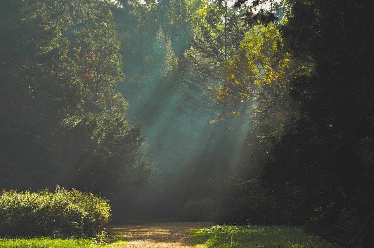 La Forêt de Brocéliande.